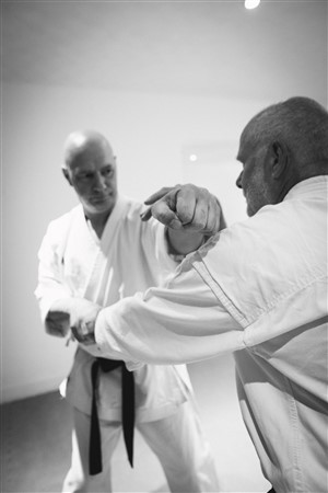 Les Bubka and Don Came present Karate’s kinetic chain for connected ...